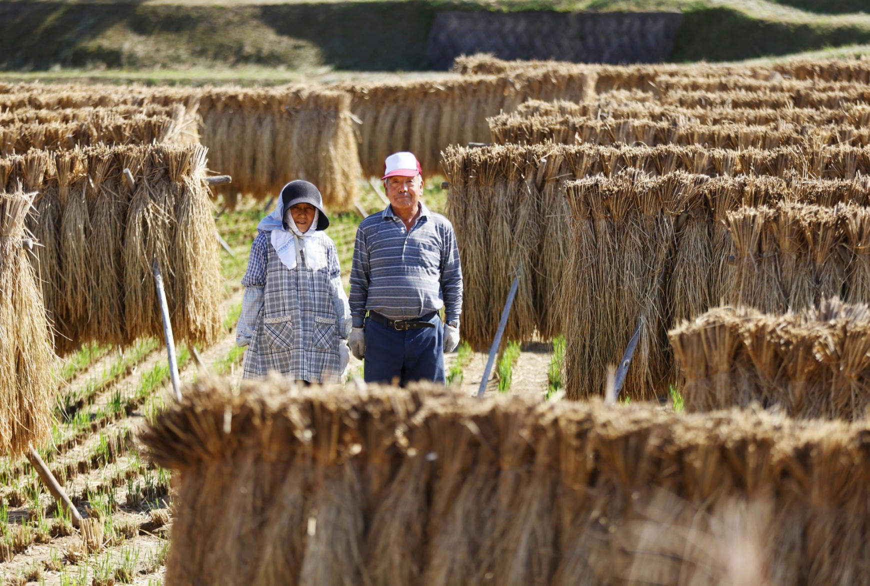JAPAN : Improving working conditions in Japan&r...