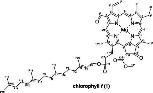 Structure of Chlorophyll f | Natural Products C...
