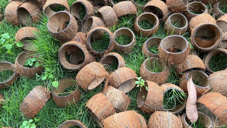 ENVIRONMENT: Ghana's discarded coconut shells: