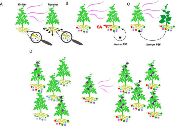 Integrating plant-to-plant communication and rh...
