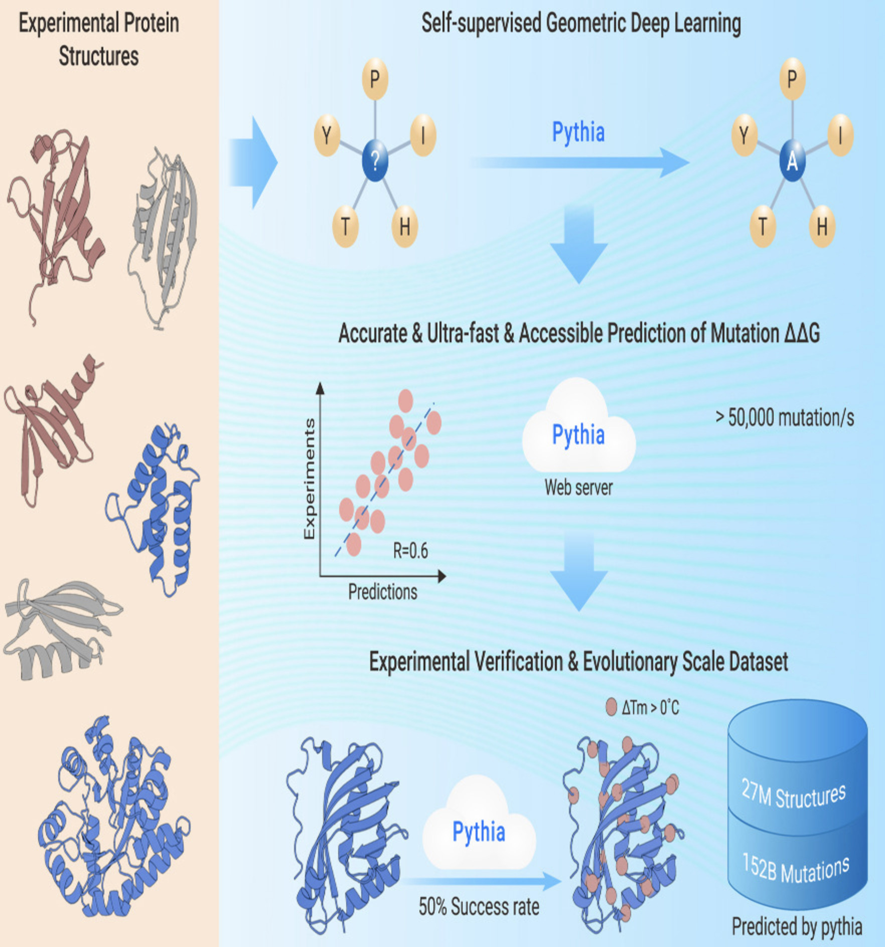 Structure-based self-supervised learning enable...