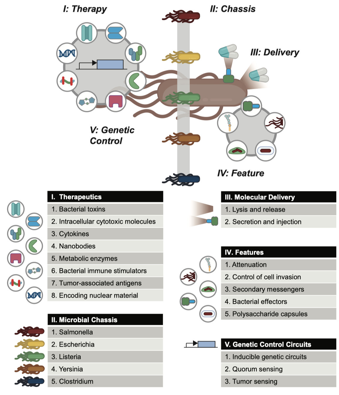 Build-a-bug workshop: Using microbial-host inte...