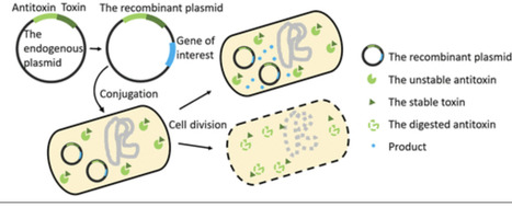 Structure-conditioned masked language models fo...