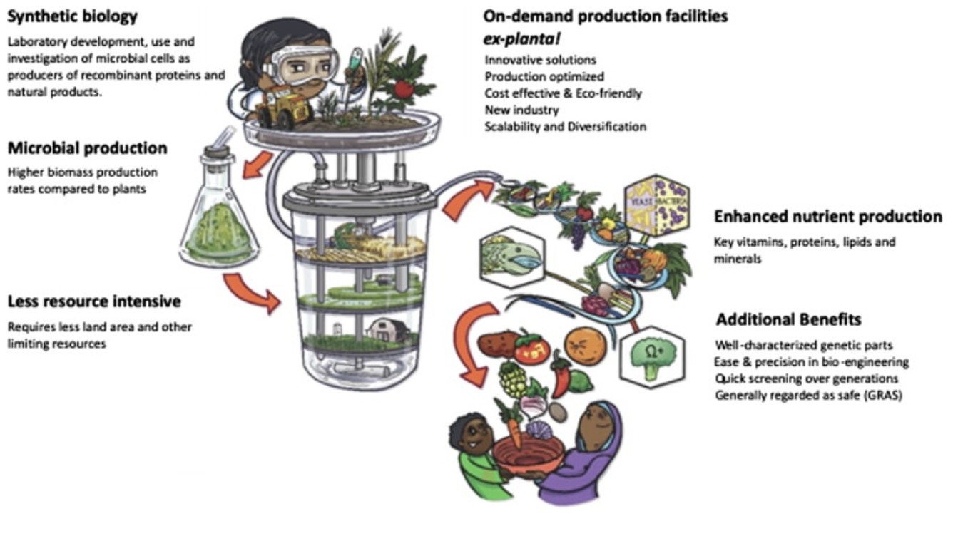 Transforming traditional nutrition paradigms wi...