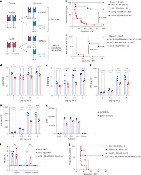MHC class I on target cells regulates CD4+ T ce...