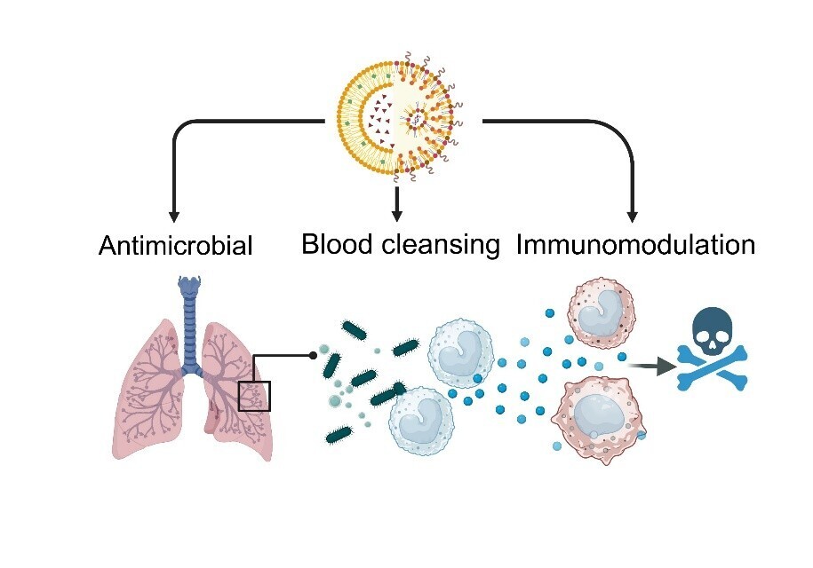 Nanomédecine et sepsis : état des...