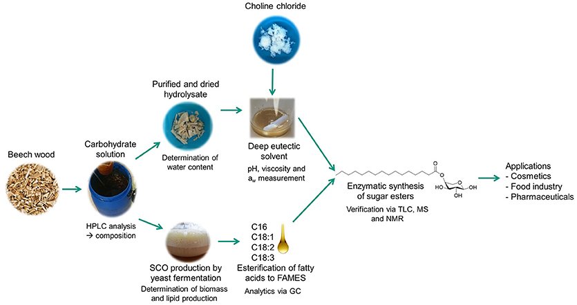 Integrated Process for the Enzymatic Production...