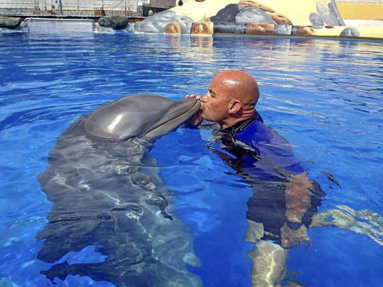 Inside shocking dolphin abuse scandal which saw...