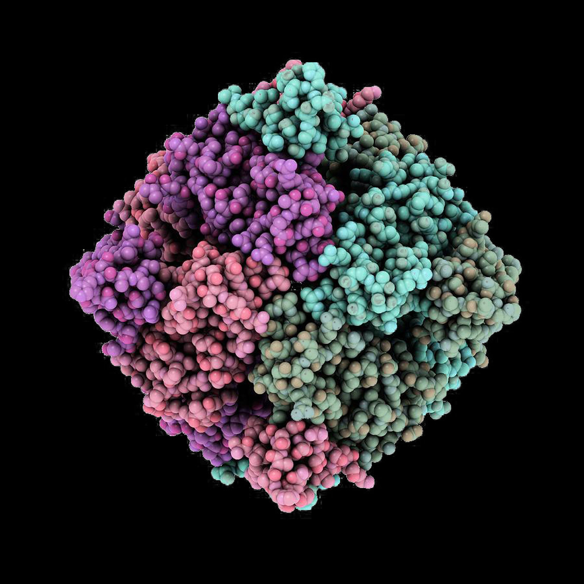 Miniaturized CRISPR protein opens door for gene...