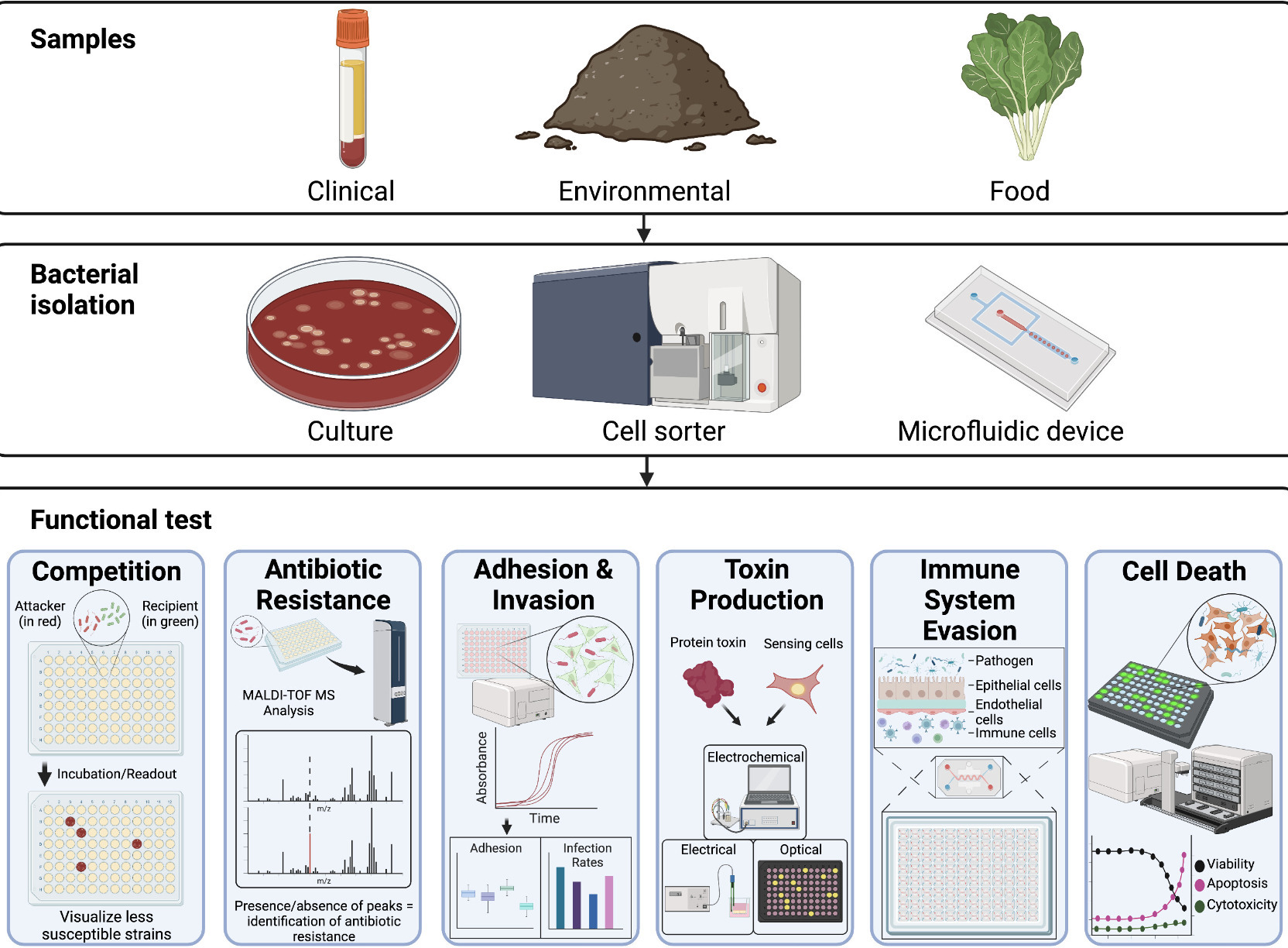 High-throughput functional trait testing for ba...