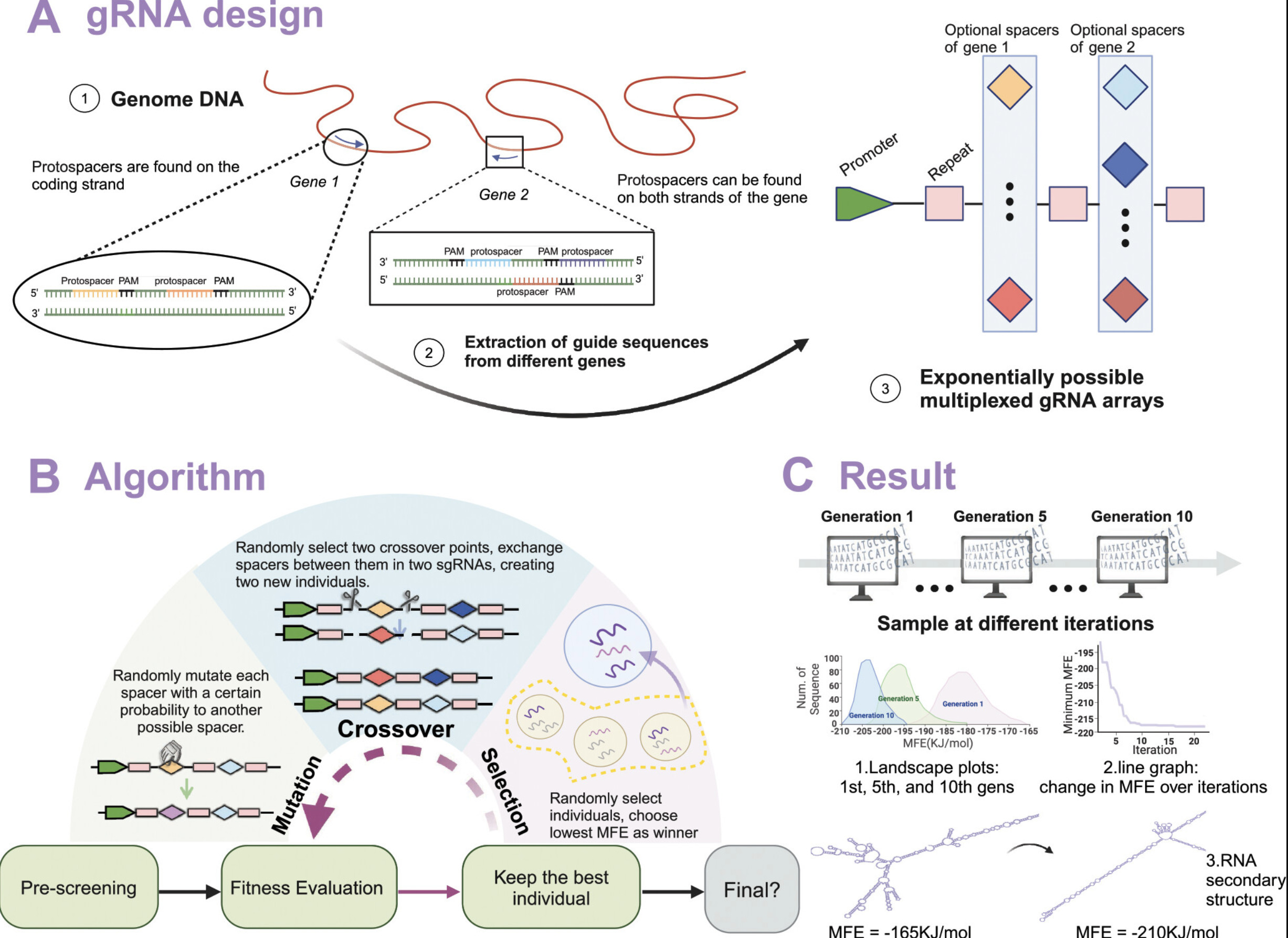 MultiCRISPR-EGA: Optimizing Guide RNA Array Des...