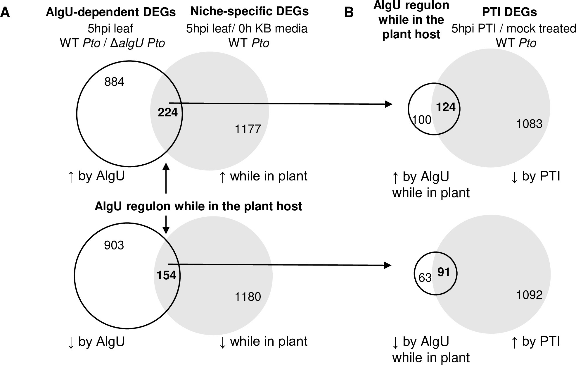 PLOS ONE: In planta transcriptomics reveals con...