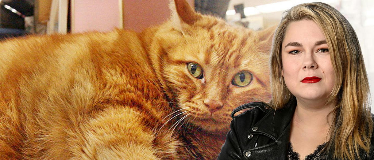 Svenska feminister har blivit som feta katter e...