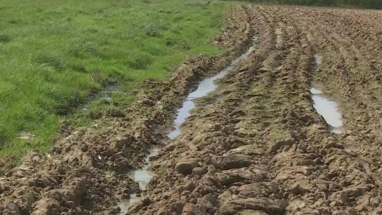 Agriculture : les cultures gorgées d&rsq...