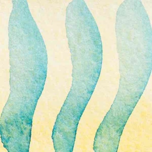 Leeson House Field Studies Centre (LeesonHouse)...