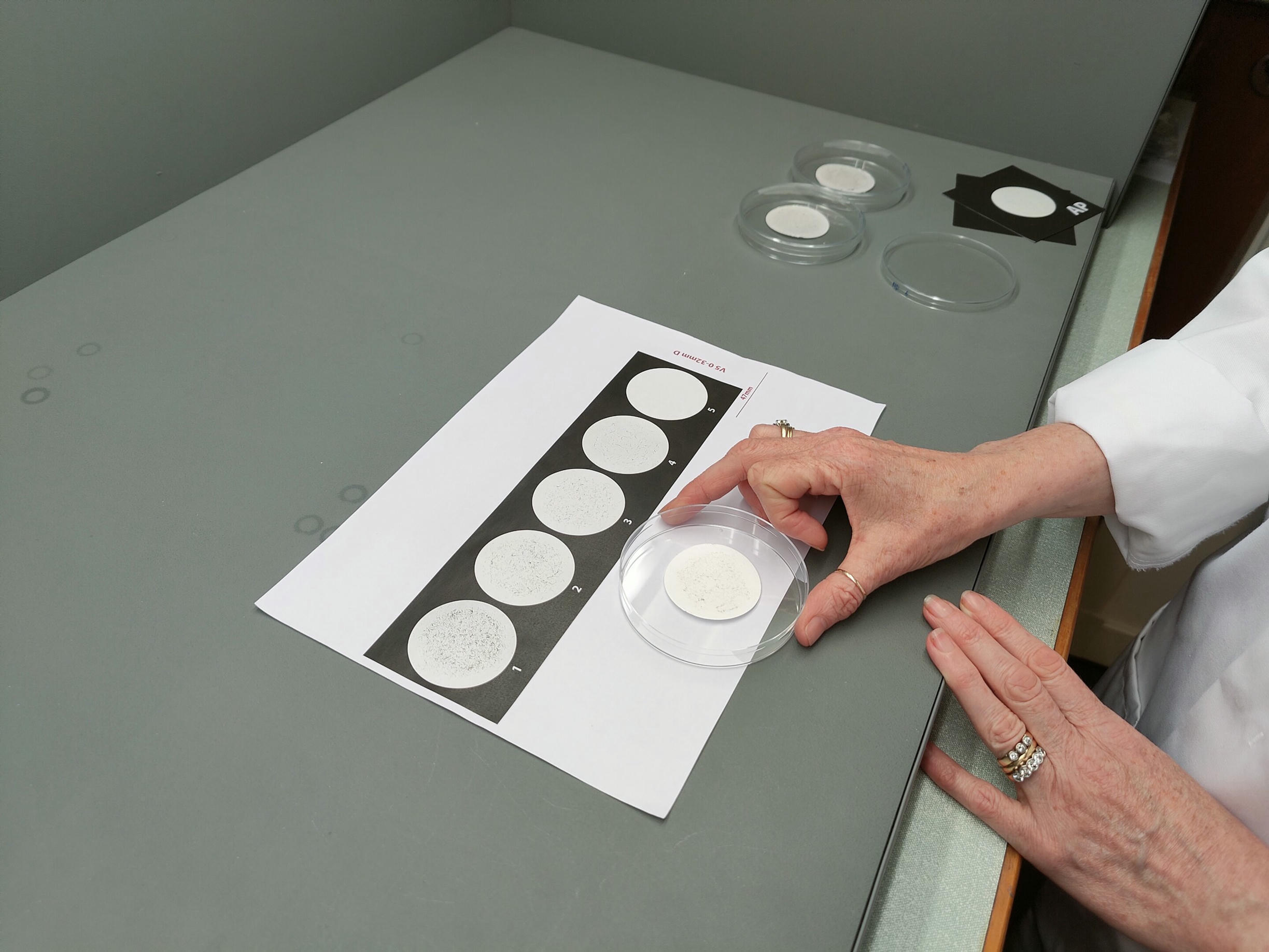 World's first visual grading system developed t...