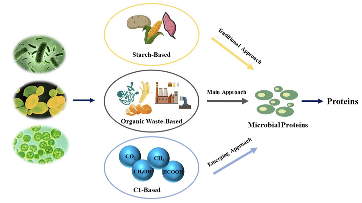 Current trends and possibilities of typical mic...
