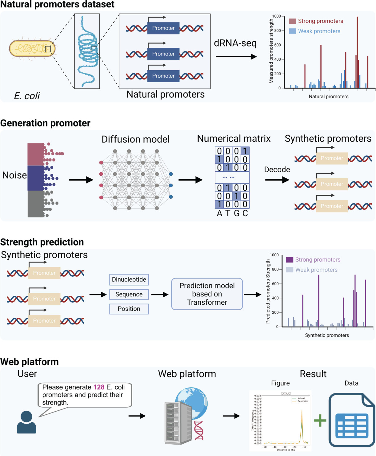 Combining diffusion and transformer models for ...
