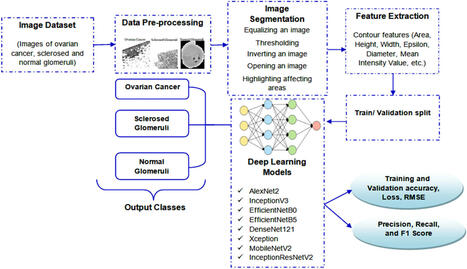 A Comprehensive Study on Deep Learning Models f...