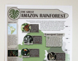 Amazon Rainforest Poster | Rainforest CLASSROOM...