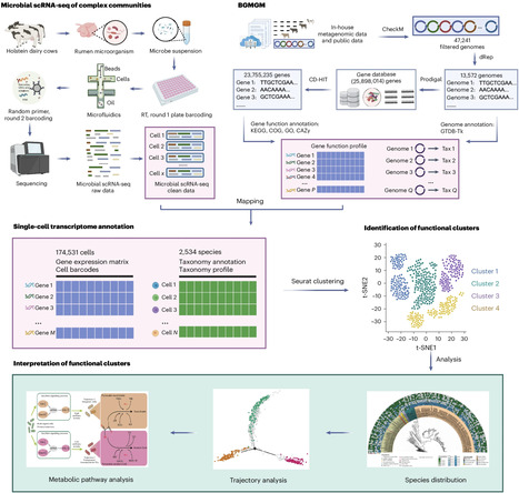 Single-cell transcriptomics across 2,534 microb...