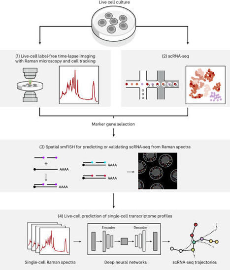 Prediction of single-cell RNA expression profil...