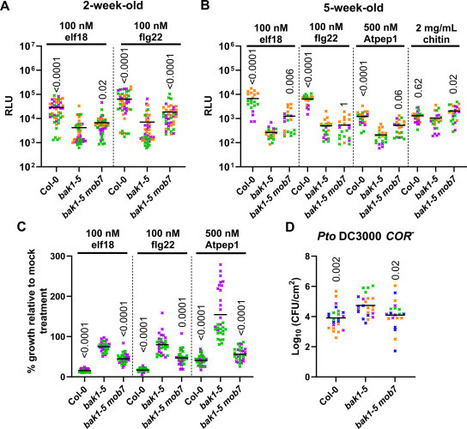 PLOS Genetics: The helper NLR immune protein NR...
