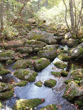 Harold Jarche » Collective sense-making – juandon. Innovación y ...