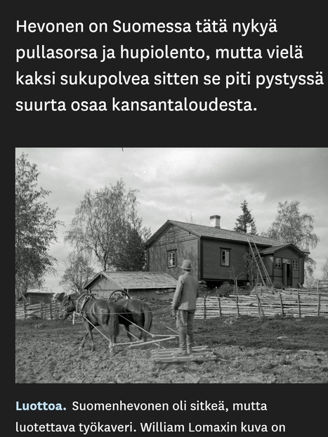 Aurinkorasvasta leviää rajuja vä...