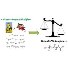 PLA toughening using low Tg polyesters - A case...