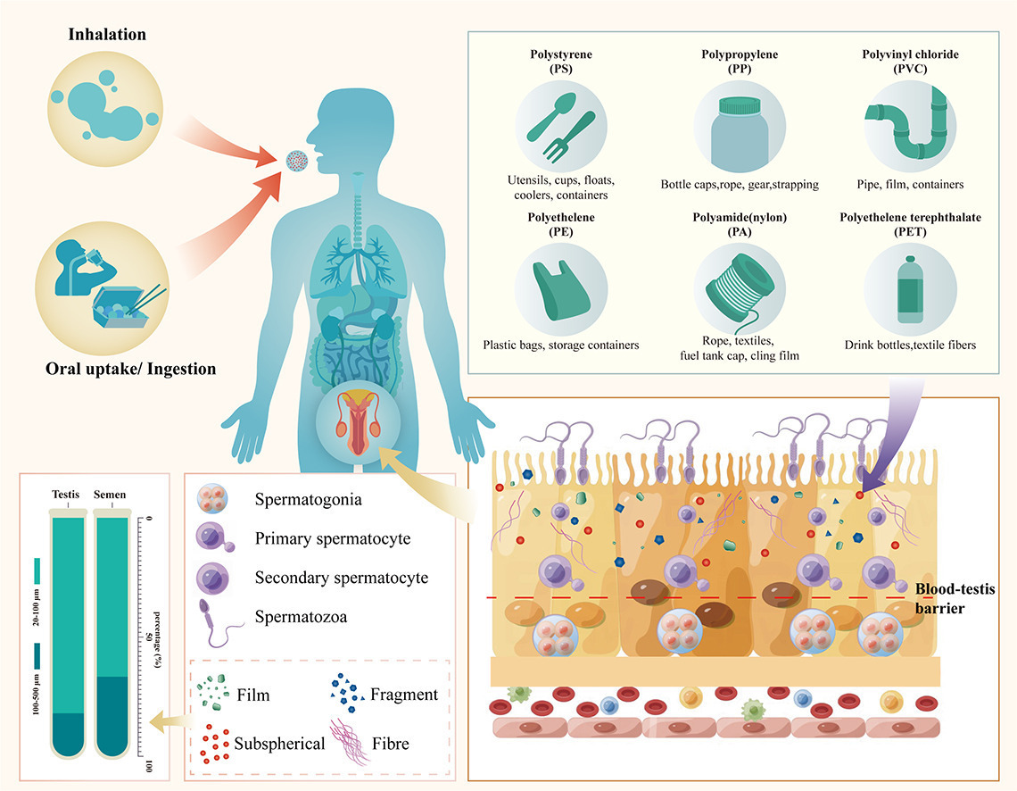Detection And Characterization Of Microplastics