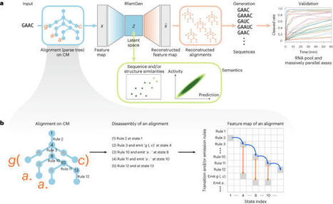 Deep generative design of RNA family sequences ...