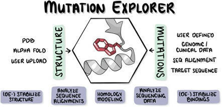 MutationExplorer: a webserver for mutation of p...