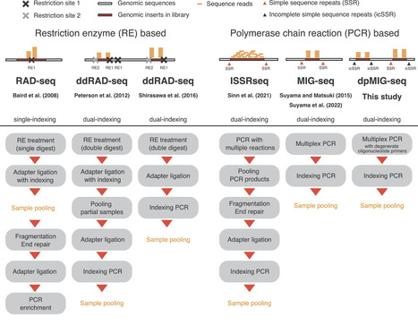 Degenerate oligonucleotide primer MIG-seq: an e...
